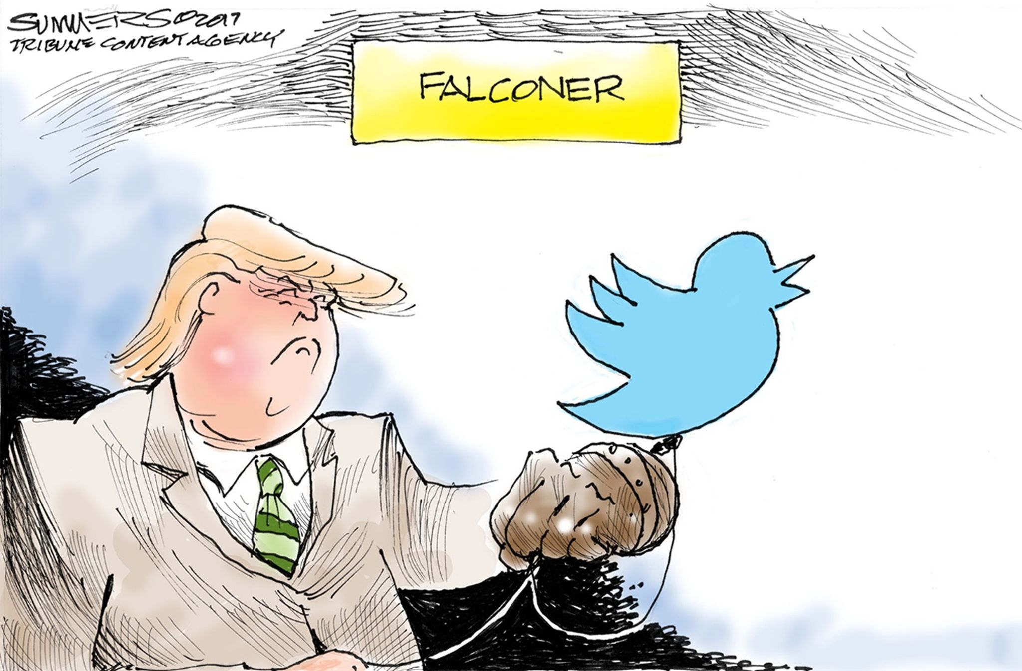 Political Cartoons - Dana Summers - Falconer - Washington Times Political Cartoons - Dana Summers - Falconer - Washington Times