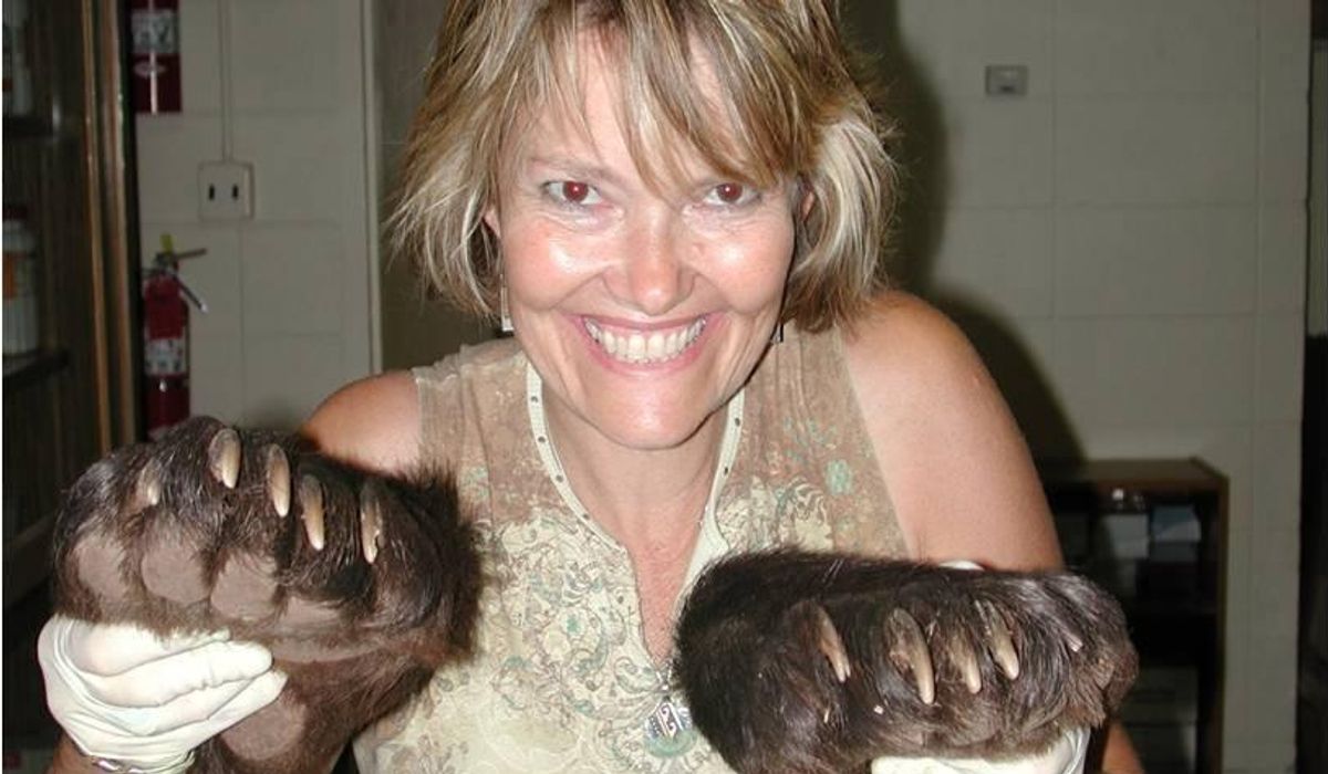 Wyoming Wildlife Forensics Expert Reflects On 35 Year Career